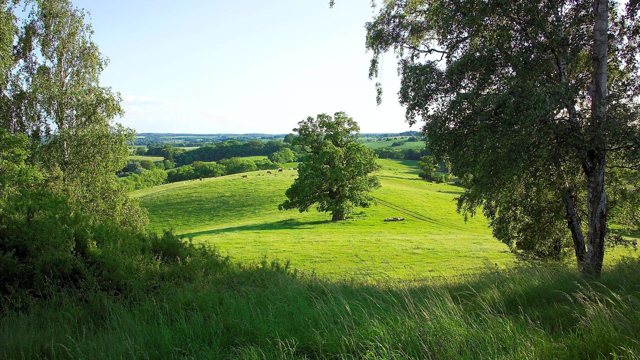 In die Mecklenburgische Schweiz - Mecklenburger Parkland